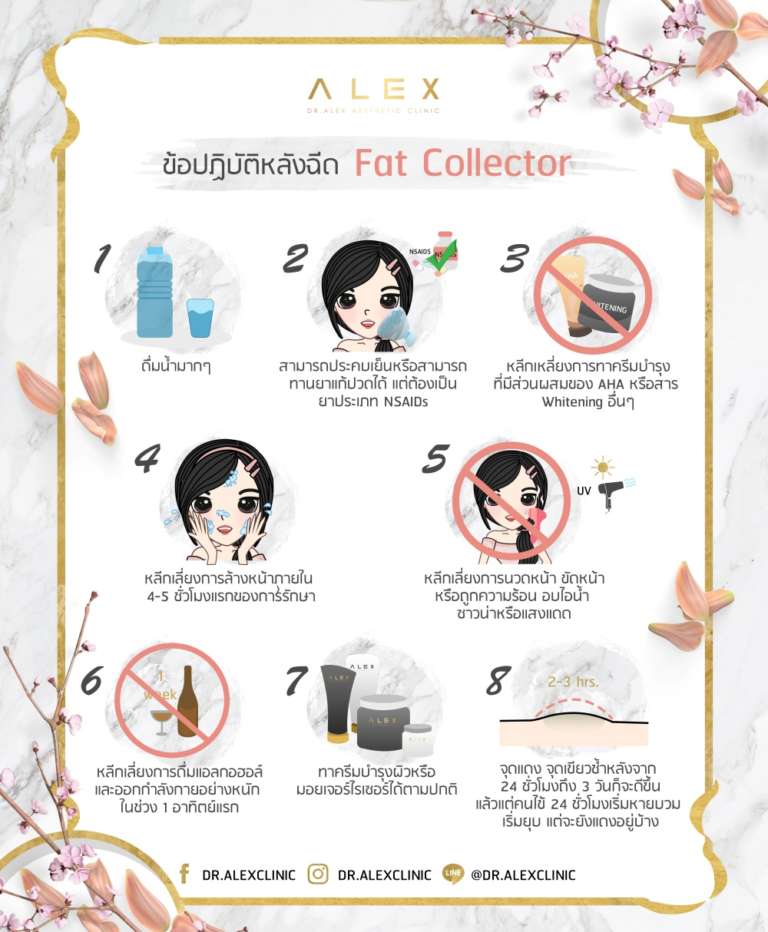 Fat Collector - DR.ALEX