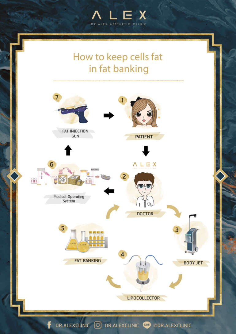 Fat Banking - DR.ALEX